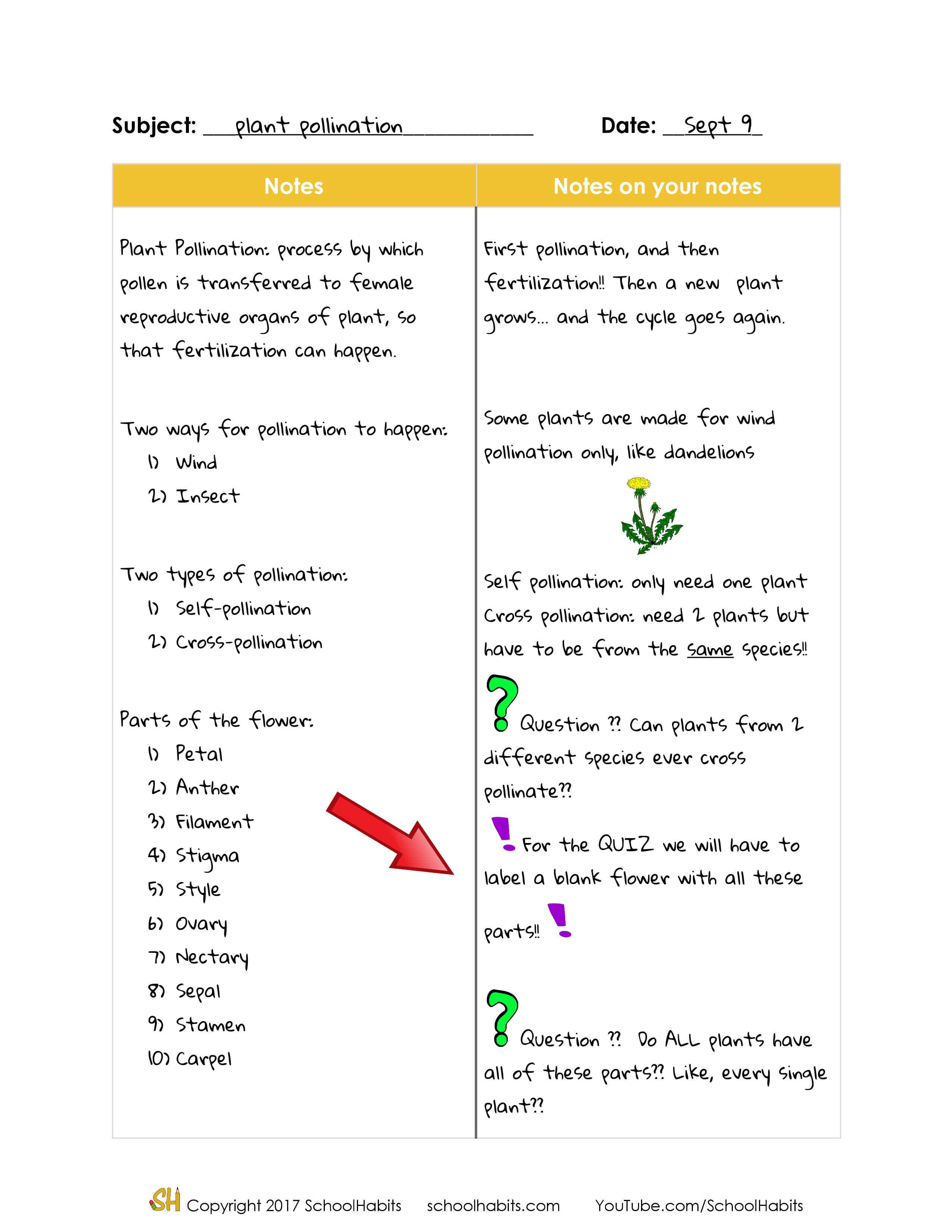 How To Take Notes With ADHD Or If You re Easily Distracted SchoolHabits How To Take Notes With ADHD Or If You re Easily Distracted SchoolHabits
