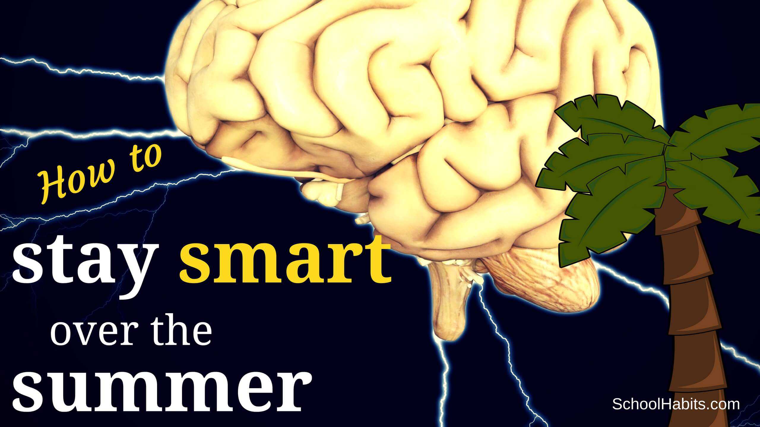 How to stay smart over the summer - SchoolHabits