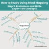 How to Study Using Mind Mapping: A Study Method for Visual Learners ...