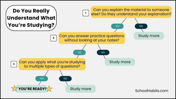 3 Signs You Don't Understand What You're Studying - SchoolHabits