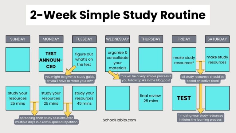 3 Ways to Simplify Your Study Routine and Avoid Exam Cramming ...