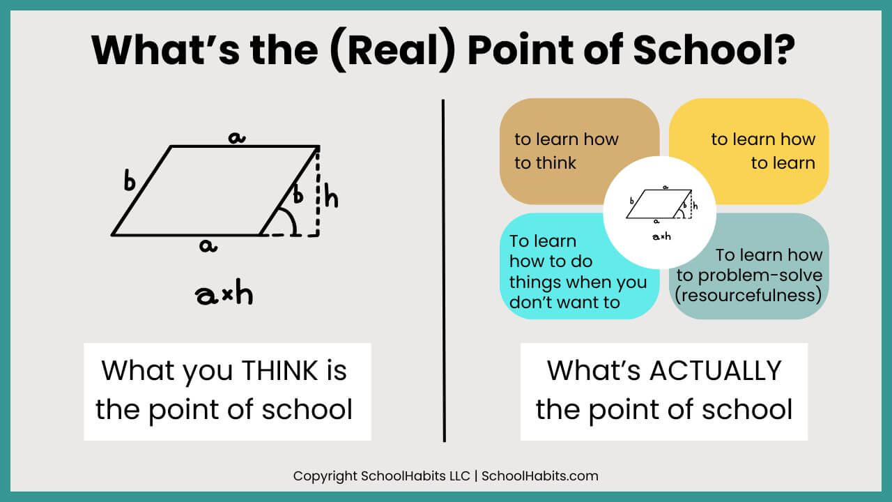 What's the Point of School? - SchoolHabits