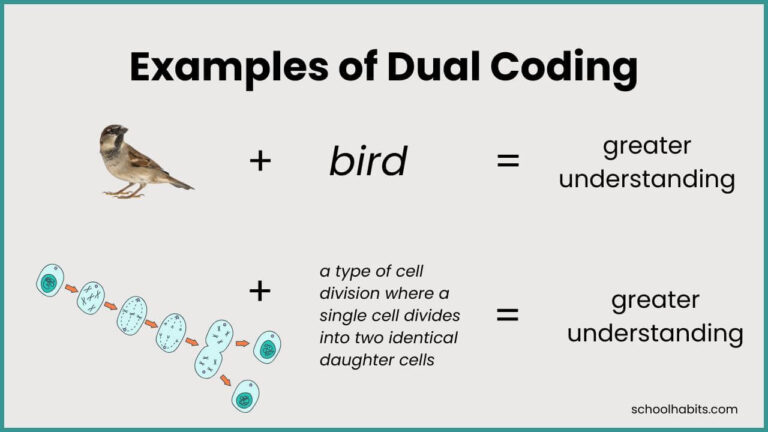 How to Use Dual Coding to Study (And Why You Should) - SchoolHabits